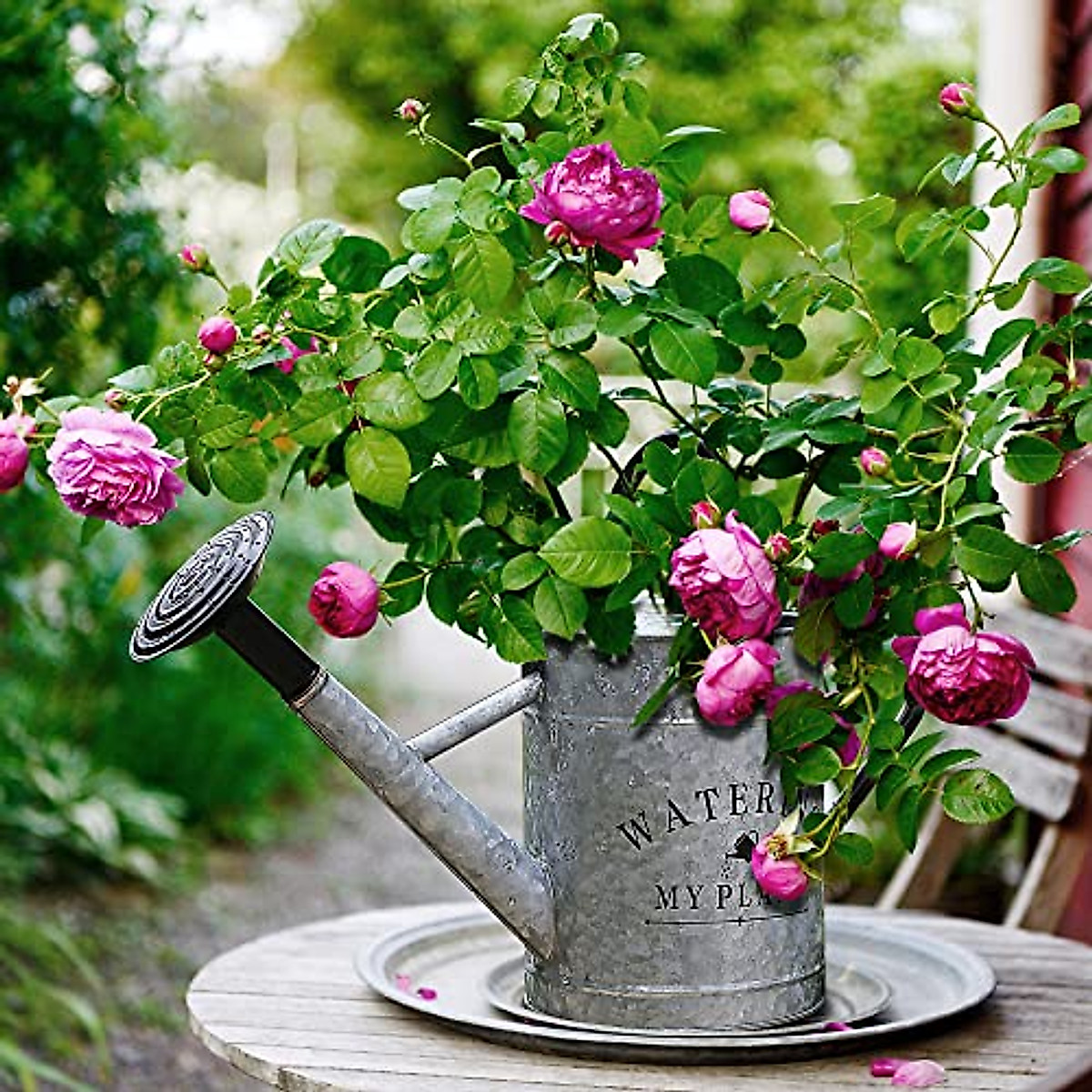 Garutom Galvanized Watering Can for Outdoor Plants, 1 Gallon Decorative Countryside Style Watering Can with Removable Spout, Perfect Metal Watering Can for Indoor Plants and Garden Flower