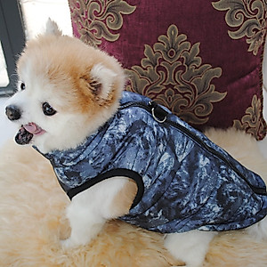 BBEART Pet Clothes,Dog Winter Coat with Zipper Leash Hook Puppy Vest Jacket Warm Costume for Small Medium Dog (XS,Black)