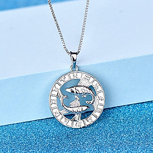 YL Pisces Constellation Necklace Sterling Silver Zodiac Jewelry Astrology Coin Horoscope Pendant for Women