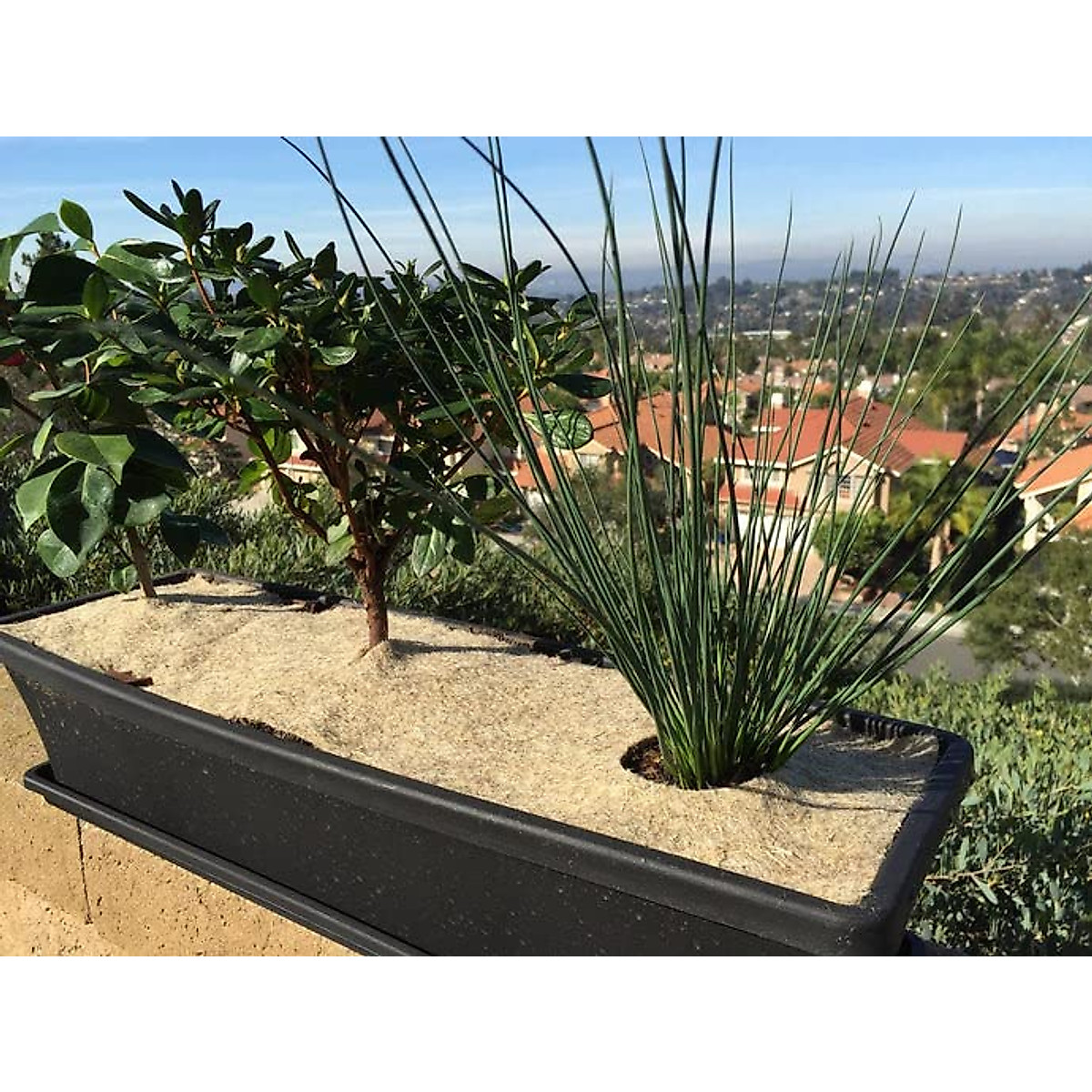 V Care US Worm Bin Blanket 100% Bio-degradable Jute Fibre for Compost Bin,Worm Farm,Worm Composter,Compost Tumbler