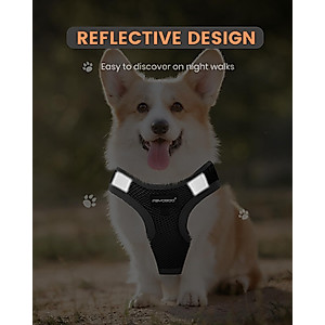 FAYOGOO Service Dog Vest for Small Breed - Lightweight Dog Harness with 6PCS Removable Patches - Puppy Harness and Leash Set for Walking,Training