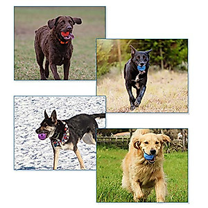 PIKASEN Rainbow Tennis Balls for Dogs 2.5" or 2.3" Size 12 Pack 6 Bright Colours Interactive Dog Toys Dog Gift for Large Dogs and Medium Small Dogs (2.5 Inches)