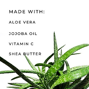 Men’s Anti Aging Face Cream & Moisturizer - Day & Night - Anti Wrinkle Lotion - Organic & Natural Skin Care for Younger Looking Skin - Hydrates & Revitalizes - Unscented, 2 oz