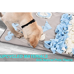 Fida Dog Snuffle Mat for Small Medium Large Breed, Puppy Treat Feeding Mat for Foraging, Training Mats Pet Activity/Toy/Play Mat, Machine Washable- Perfect for Stress Release,