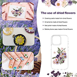 40Pcs Natural Pressed Dried Flowers Resin, Dry Flowers for Resin Accessories with Tweezer, Dried Flower for Scrapbooking DIY Art Crafts, Epoxy Resin Jewelry Molds, Candle, Nails Décor, Craft Making