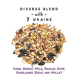 Manna Pro 7-Grain Ultimate Chicken Scratch - Scratch Grain Treat for Chickens and Other Birds - Non-GMO Natural Ingredients - 10 lbs