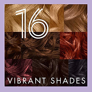 SoftSheen-Carson Dark and Lovely Fade Resist Rich Conditioning Hair Color, Permanent Hair Color, Up To 100 percent Gray Coverage, Brilliant Shine with Argan Oil and Vitamin E, Luminous Blonde, 2 Count