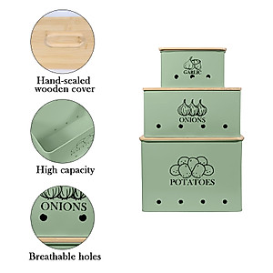 Xbopetda Canister Sets for Kitchen Counter, Kitchen Canisters Set of 3 for Potato Onion Garlic, Kitchen Storage Bin Jars Pots with Aerating Tin Storage Holes & Wooden Lid (Green)