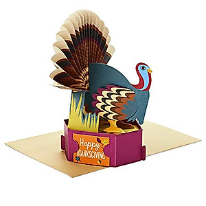 Hallmark Paper Wonder Thanksgiving Pop Up Card (Turkey)