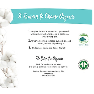 100% Organic Cotton Fitted Sheets for Graco Pack n Play, Babyletto, Pamo Babe, Hiccapop, Dream on Me, Evenflo, Baby Trend, Hygge Hush Portable/Mini Crib/Playards, and Beka Bedside Bassinet 2 Pk