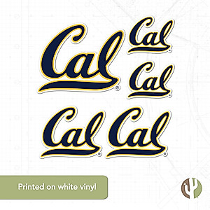 Desert Cactus University of California Berkeley Sticker Golden Bears Cal UC Vinyl Decals Laptop Water Bottle Car Scrapbook T3 (Type 3-2)