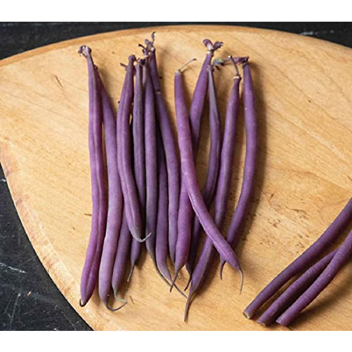 David's Garden Seeds Bean Bush Celine FBA-00064 (Purple) 100 Non-GMO, Open Pollinated Seeds