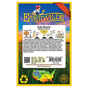 Everwilde Farms - 250 Glade Mallow Native Wildflower Seeds - Gold Vault Jumbo Seed Packet
