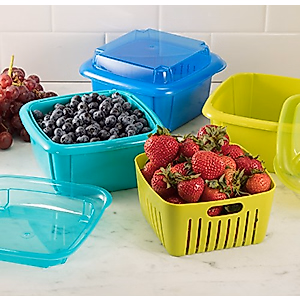 Hutzler Berry Keeper Box, 1 Quart, Red