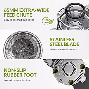 Juicer, Easehold Juicer Machines, Vegetable and Fruit Centrifugal Juicer, 600W Juice Extractor, 2-Speed Setting, Anti-Drip with Juice Jug and Pulp Container