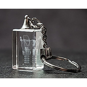 Larynx 3D Laser Crystal Key Chain, Anatomy, Voice Box, Singing, Adam's Apple