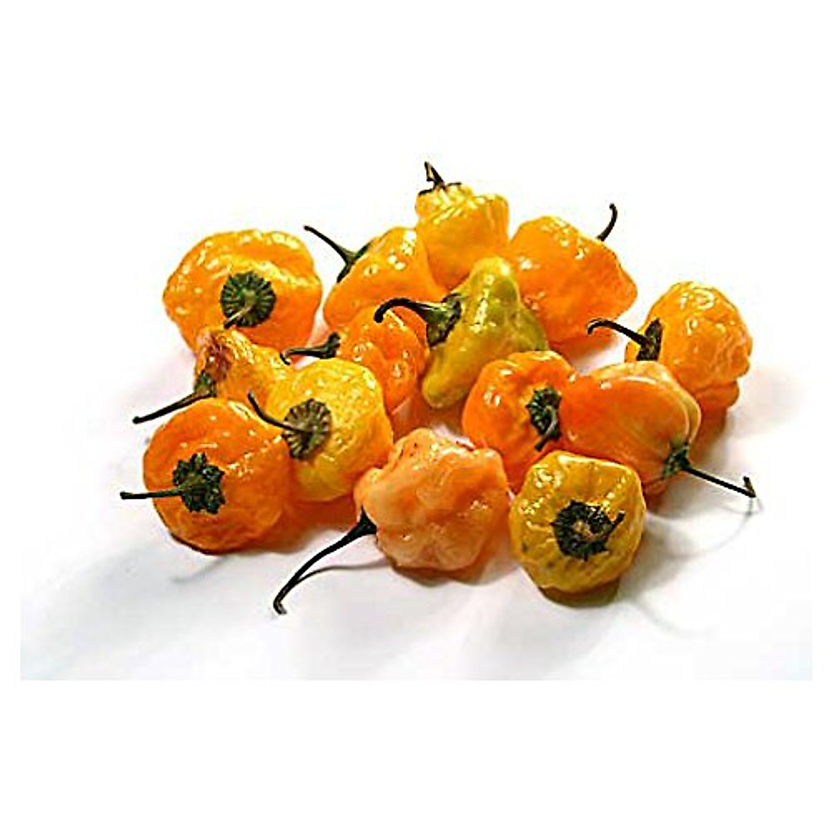30+ Scotch Bonnet Jamaican Hot Yellow Pepper Seeds Heirloom Non-GMO Ship from USA
