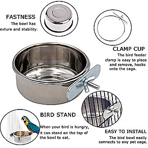 Tfwadmx Bird Feeding Dish Cups Parrot Food Bowl Clamp Holder Coop Cup, Bird Cage Water Bowl for Parakeet African Greys Conure Cockatiels Lovebird Budgie Chinchilla 2 Pack