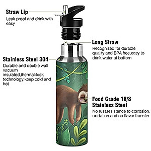 xigua Sloth Water Bottle with Straw Lid Vacuum Insulated Stainless Steel Thermo Flask for Sports Cycling Hiking School Home,20 oz.