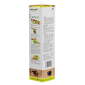 Rescue! Carpenter Bee TrapStik – Also Works on Wasps, Mud Daubers - 2 Traps