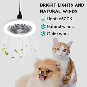 CICIYIG Small Ceiling Fan Indoor with Lights Bulb 10" E26 Screw Base Enclosed Ceiling Fan with Lights 30W Low Profile Ceiling Light Fan for Kitchen Garage RV Basement Socket Fan Light 6500K (White-1)