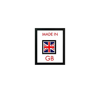 FRAMES BY POST METROGOLDWITHIVRMT24205040CM Frame, 24 x 20 Inch Image Size 50 x 40 cm Plastic Glass, Gold Ivory Mount