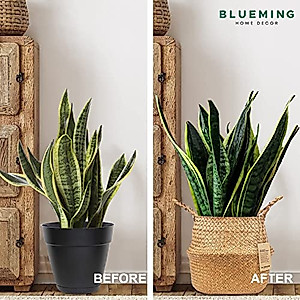 Blueming Home Decor Plant Basket – Large Seagrass Belly Basket Planter, Woven Rattan Wicker Plant Pot for Tall Indoor Plants with Handles, Round Decorative Boho Planters (Original, 10-11 Inch)