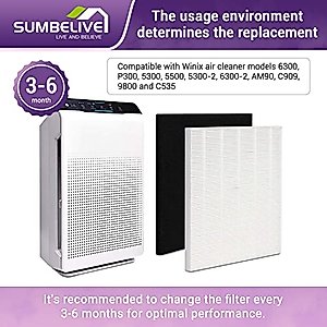115115 replacement Filter for Winix Air Purifier C535 Filter A, 2 True HEPA(H13) Filter + 8 Activated Carbon Filters （2 Sets-A Total of 10）