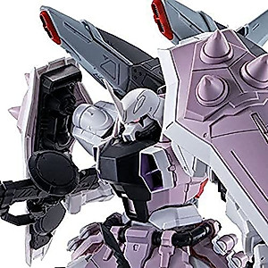 Bandai spirits MG 1/100 ZGMF-1001 / M Blaze Zaku Phantom Rey Za Burrel Custom