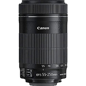 Canon EF-S 55-250mm f/4-5.6 IS STM Telephoto Zoom Lens (Import Model)