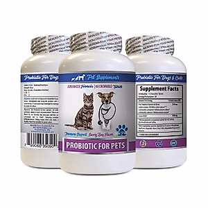 Digestive probiotics - PROBIOTICS for Pets - Dogs Cats - Bad Gas and Breath Treats - Advanced Immune Boost - Dog probiotics Bad Breath - 1 Bottle (60 Treats)