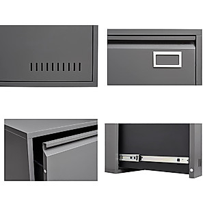 TOMOSLTER Biometric Fingerprint Lateral File Cabinet, Large Drawer Metal Filing Cabinet with Hanging Rod for Letter, A4, documents and so on, for Home Office Using, Assembly Required