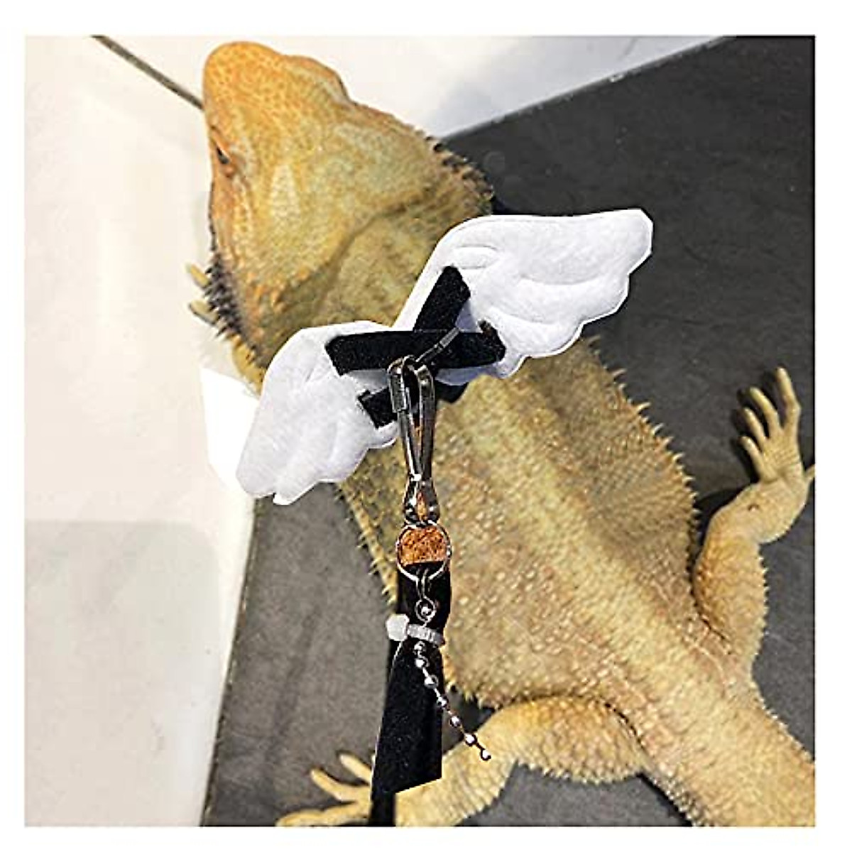 Anelekor Adjustable Pet Lizard Leash Harness Bearded Dragon Costume Accessories with Angel Wings Reptile Outdoor Walking Clothes for Turtle Gecko Iguanas Amphibians and Small Animals, Black