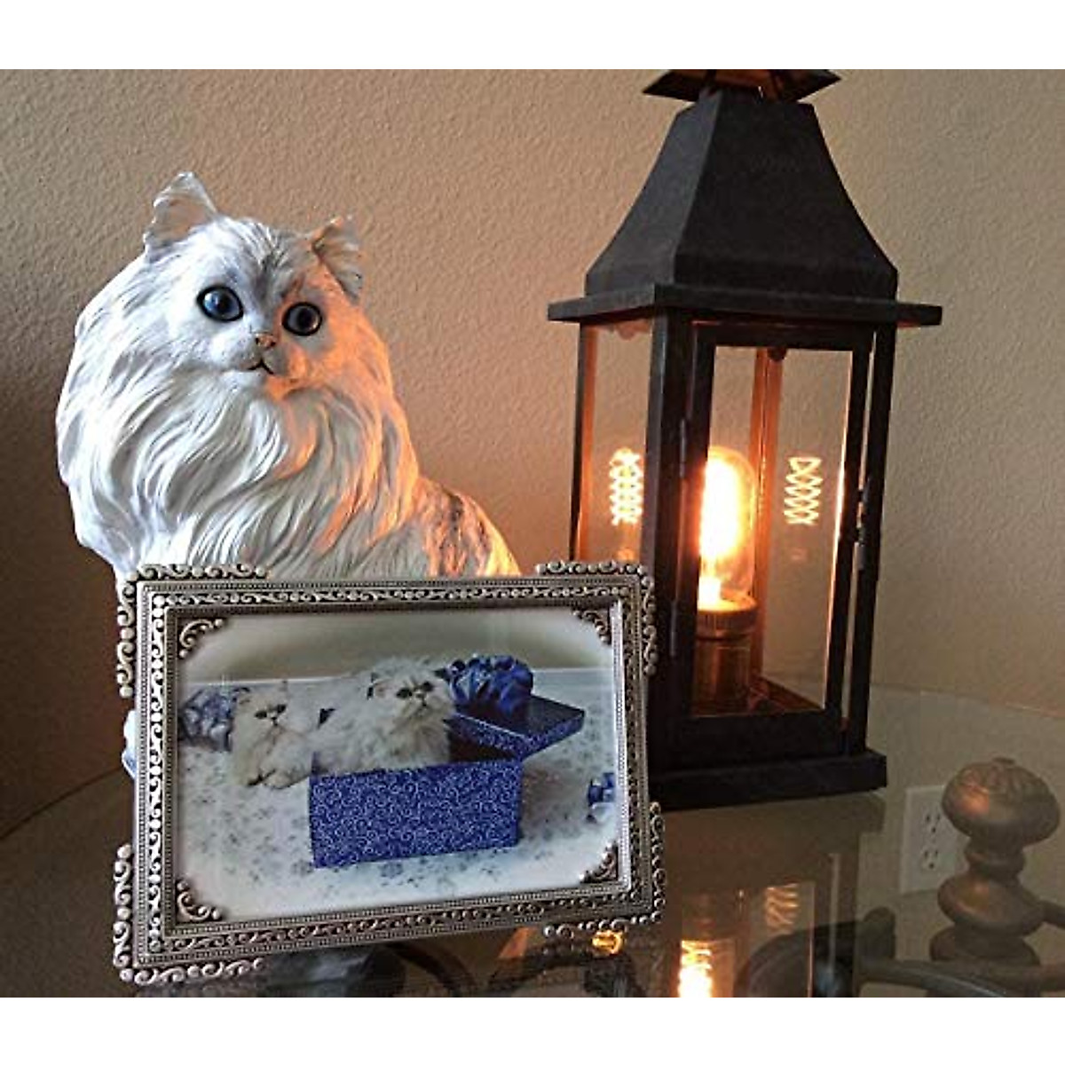 Rolay Vintage Edison Bulbs, 25W Clear Glass Antique Vintage Old Fashioned E26 Incandescent Light Bulbs, 1 Pack