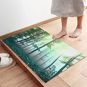 ALAGEO Fall Doormat Sunshine Teal Green Forest Door Mat Welcome Mats Entrance Floor Mat Trees Mist Fall Seasonal Harvest Thanksgiving Floor Mat Outdoor Indoor Runner Rugs Non-Slip Floor Mat 16"x24"