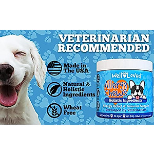 Well Loved Dog Allergy Chews - Dog Allergy Relief, Made in USA, Vet Developed, Hot Spot Treatment for Dogs, Dog Itch Relief, Anti Itch for Dogs, Dog Vitamins, Dog Skin Allergies Treatment, 120 Count