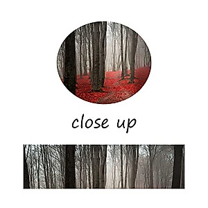 QYHART Forest Canvas Wall Art Posters HD Pictures Prints Artwork for Living Room Bedroom Modern Home Decor Painting Stretched and Framed Ready to Hang [18''W x 12''H]