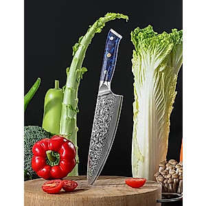 SANMUZUO Chef Knife - 8 inch - Xuan Series - VG10 Damascus Steel Kitchen Knife - Resin Handle (Sapphire Blue)