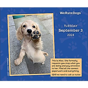 WeRateDogs 2024 Day-to-Day Calendar