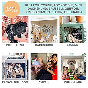 KindTail PAWD Collapsible Dog Crate + Washable Dog Bed - Stylish Pet Crate with Comfortable PAWD Pad - Safe Indoor Puppy or Dog Kennel Set - Lightweight, Compact & Portable for Travel - Small White