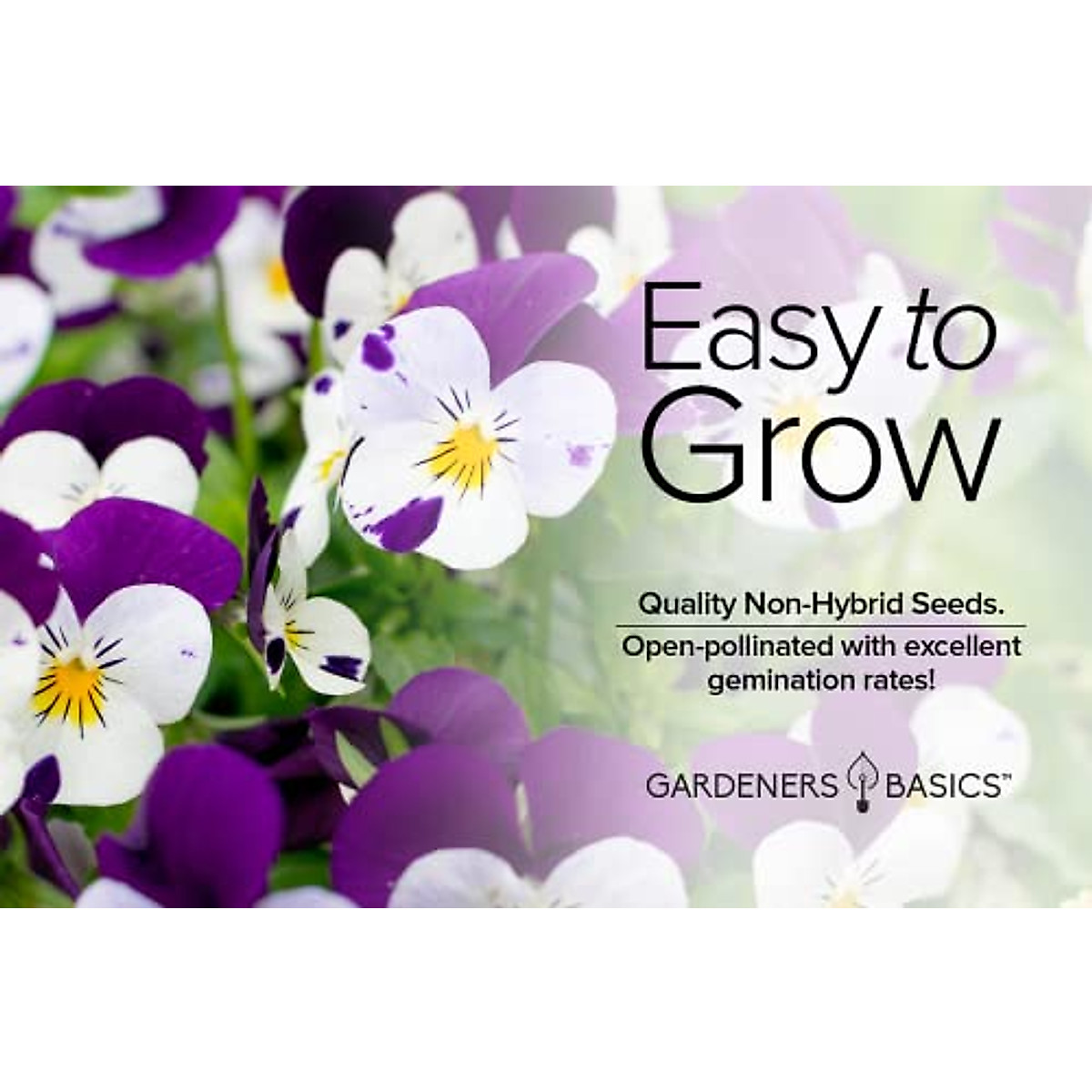 Violet, Johnny Jump Up Flower Seeds for Planting - Flower Seed Packet Annual Flower Open Pollinated, Non-GMO Variety- 1 Gram Seeds Great for Summer Seeds for Flower Gardens by Gardeners Basics