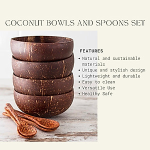 Natural Craft Coconut Bowls and Spoons set (Set of 4)