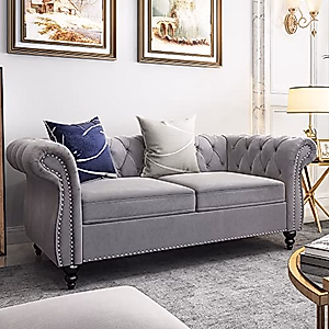 RARZOE Traditional Chesterfield Loveseat Sofa, Modern Vintage Chesterfield Button Tufted Velvet Couch with Nailhead Trim Scrolled Arms for Living Room Bedroom Office(Grey)