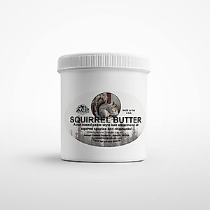 Squirrel Trapping Starter Kit for Squirrel/Chipmunk Removal in Homes Bird Feeders Attics | Little Killer Choker Style Animal Trap + Squirrel Butter + Jelly + Trail Mix Baits