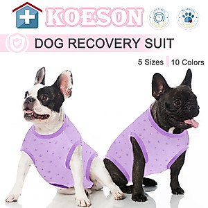 KOESON Recovery Suit for Female Dogs, Dog Recovery Suit After Spay Abdominal Wounds Protector, Bandages Cone E-Collar Alternative Surgical Onesie Anti Licking Purple Stars XL