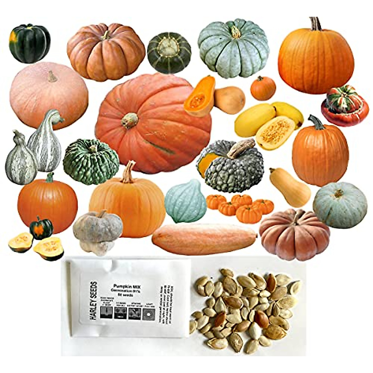 MIXED SEEDS! 50+ Pumpkin and Winter Squash MIX Seeds NON-GMO 25 Varieties Delicious Grown in USA. Rare, Super Profilic and Delicious HARLEY SEEDS
