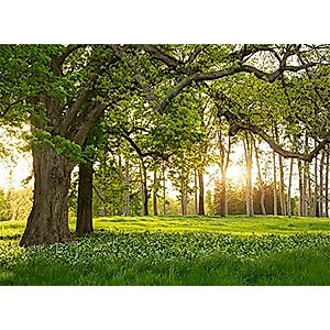 Leowefowa 7X5FT Spring Backdrop Rural Forest Trees Backdrops for Photography Blooming Flowers Green Grassland Nature Vinyl Photo Background Kids Adults Outdoor Travel Portraits Studio Props