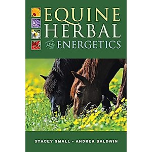 Equine Herbal and Energetics