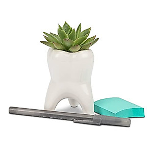 Practicon 9099210 Mini Molar Vases (Pack of 4)