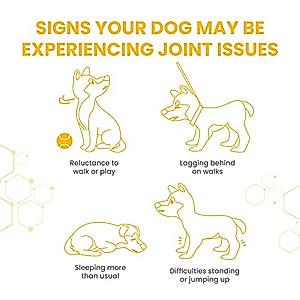 Vetzyme High Strength Flexible Joint Tablets 30